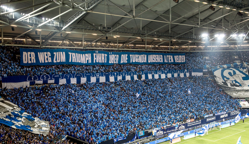 VIP-Dauerkarte - Schalke 04